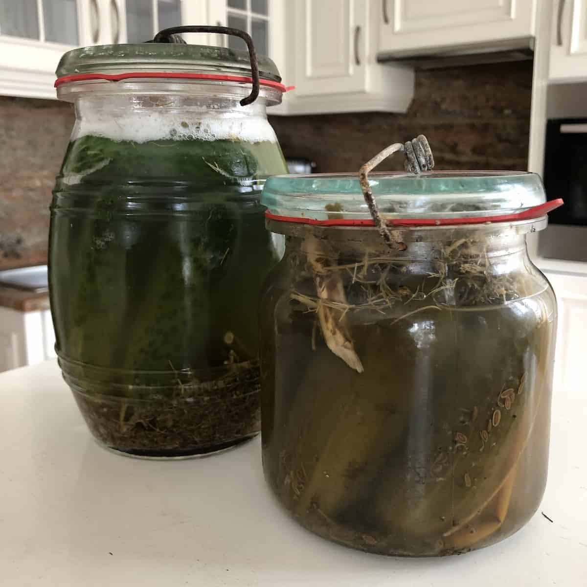 Polish 3-Day Pickles Recipe (Semi-Fermented Cucumbers)+VIDEO