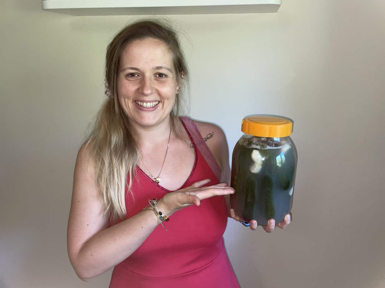 Polish 3-Day Pickles Recipe (Semi-Fermented Cucumbers)+VIDEO