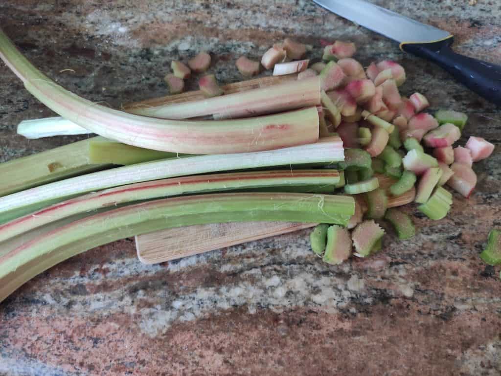 Polish Rhubarb Cake Recipe That Tastes Like Summer!