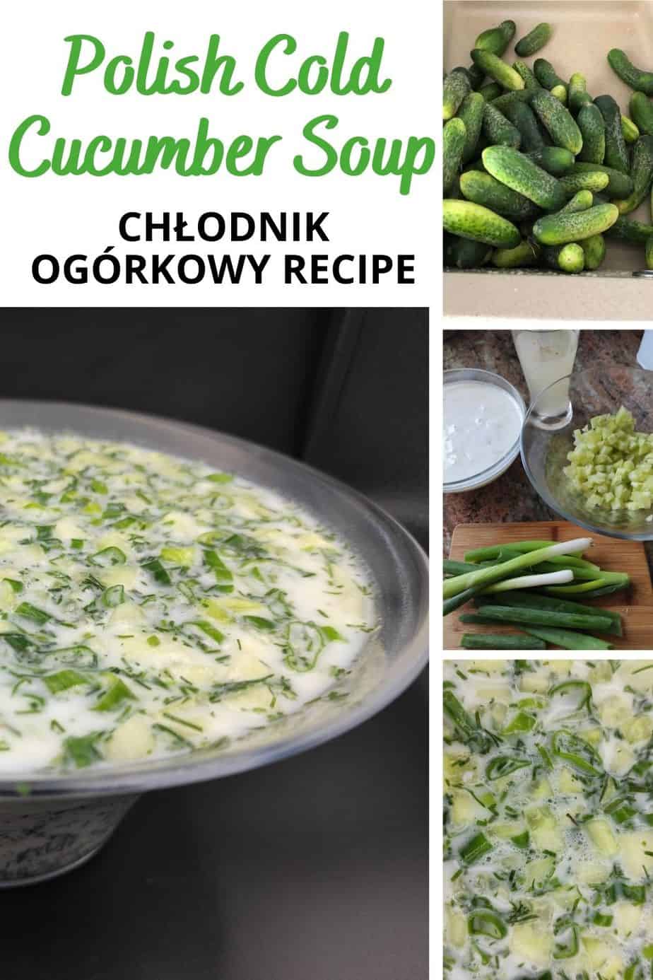 Chlodnik Ogorkowy Polish Cold Cucumber Soup Recipe - Polish Foodies