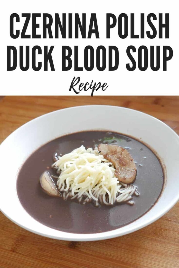 Babcia's Czarnina Recipe (Polish Duck Blood Soup)