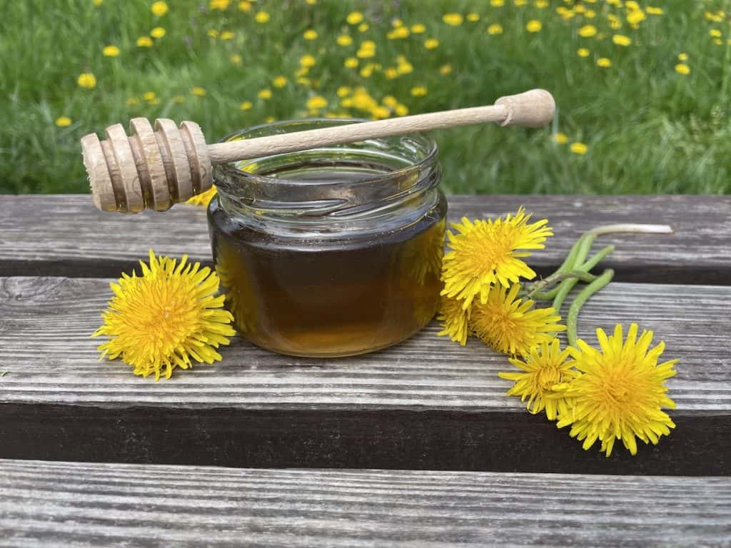 How To Make Dandelion Syrup? Homemade Dandelion Syrup Recipe - Polish ...