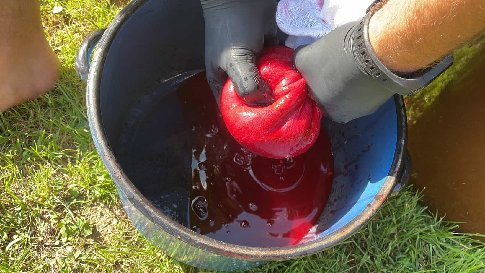 Polish Canned Raspberry Syrup Recipe - Sok Malinowy - Polish Foodies