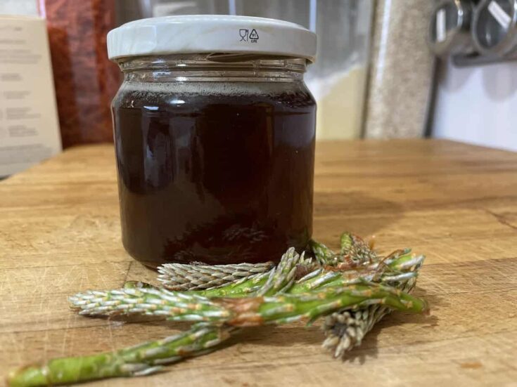 Pine Shoot Syrup Recipe - Syrop Z Młodych Pędów Sosny - Polish Foodies