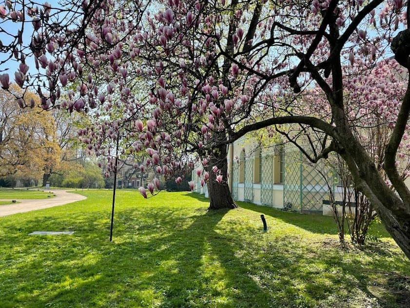 Months in Polish (Names, Pronunciation, Events)