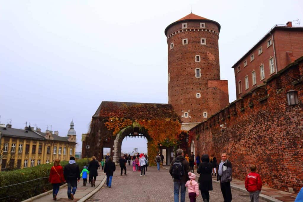 Homemade Polish Breakfast Sausage Recipe [Parówka] - Polish Foodies